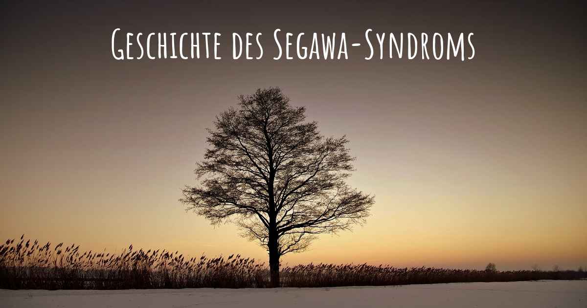 Welche Geschichte hat das Segawa-Syndrom?