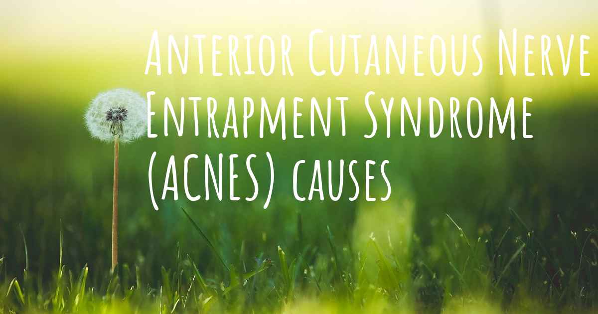 Which are the causes of Anterior Cutaneous Nerve Entrapment Syndrome ...