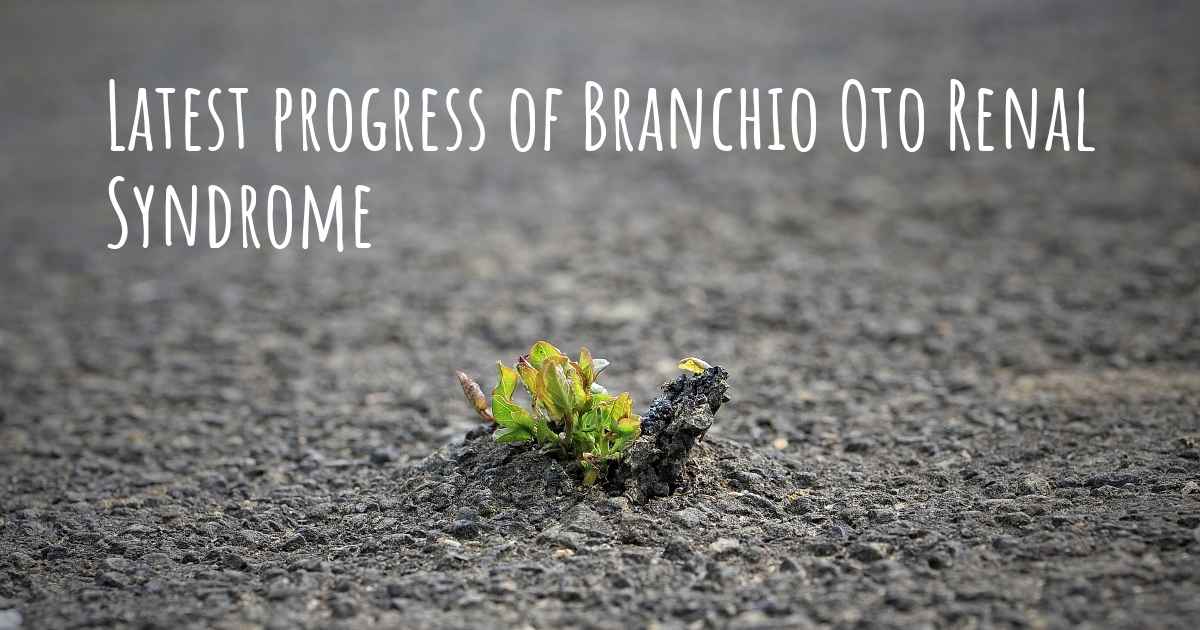 What are the latest advances in Branchio Oto Renal Syndrome?
