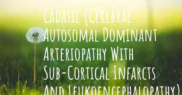 Which are the causes of Cadasil (Cerebral Autosomal Dominant ...