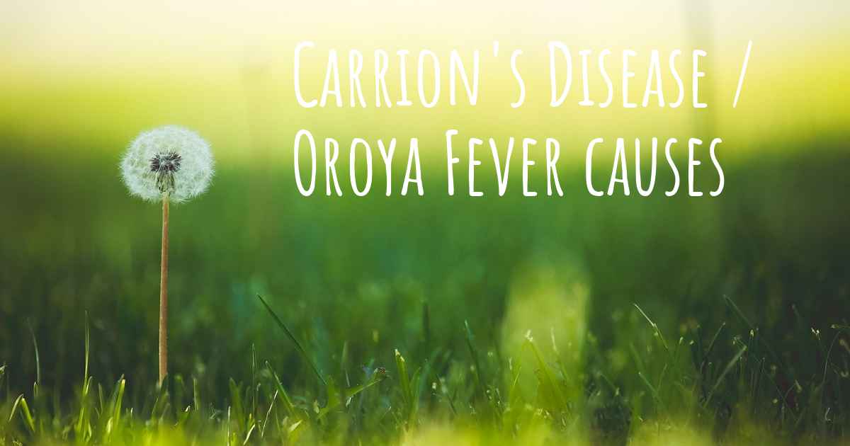 Which are the causes of Carrion's Disease / Oroya Fever?