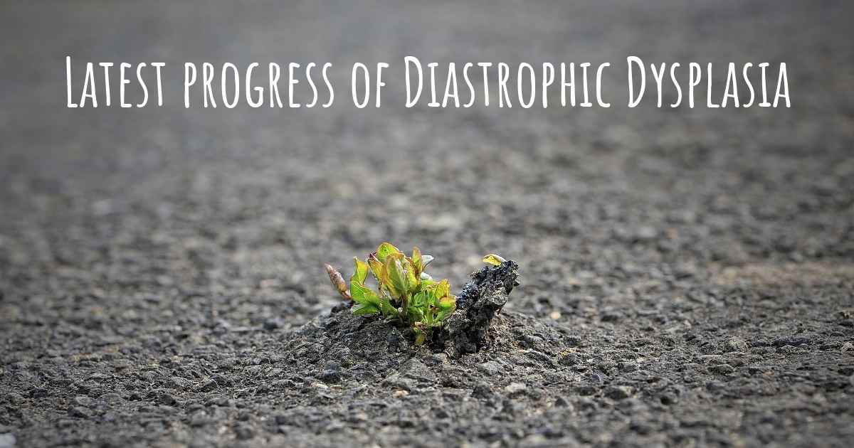 What are the latest advances in Diastrophic Dysplasia?