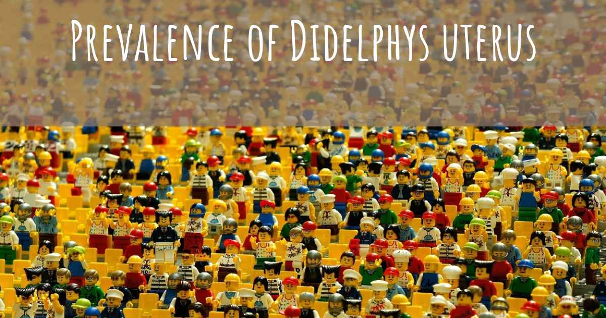 What is the prevalence of Didelphys uterus?