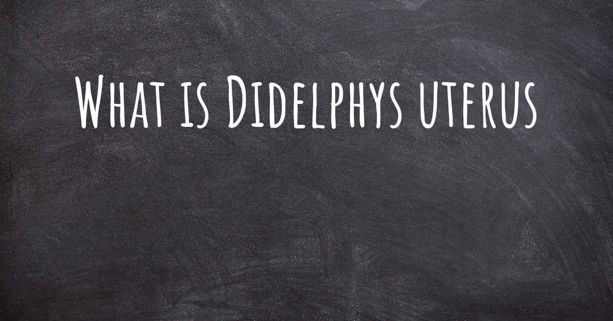 What Is Didelphys Uterus