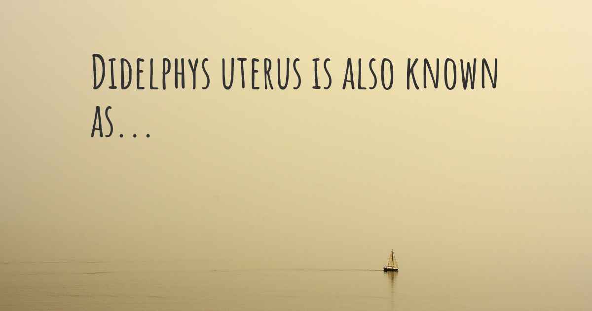 Didelphys uterus synonyms