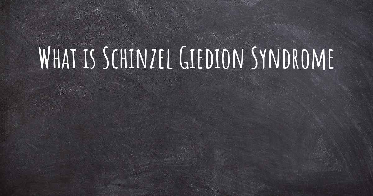 What is Schinzel Giedion Syndrome