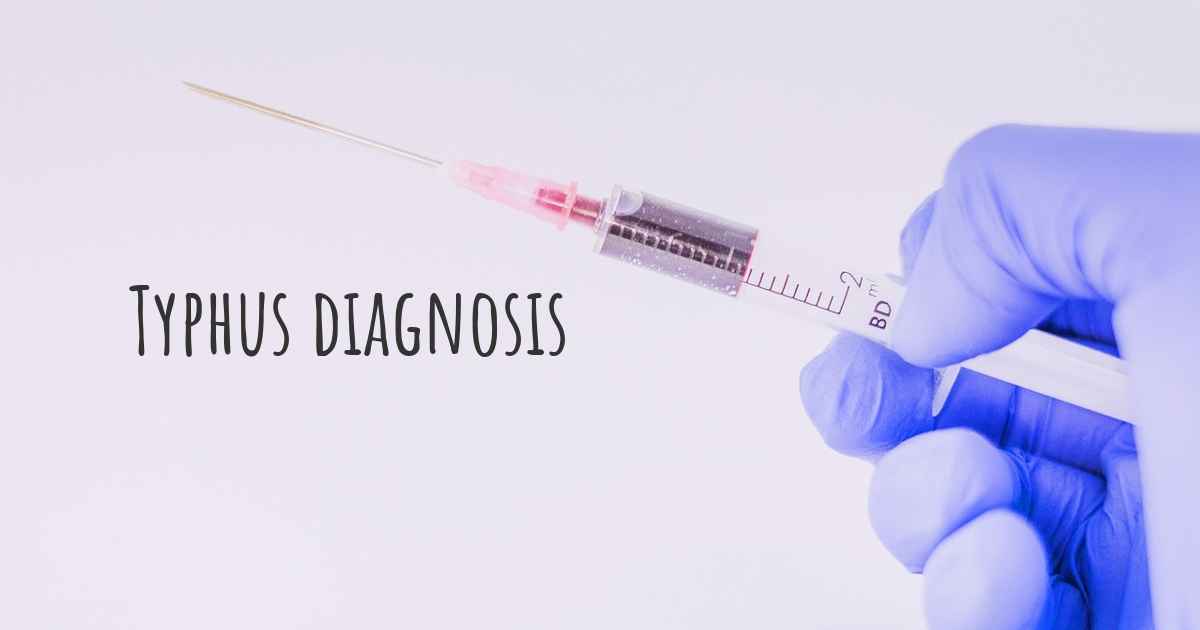 How is Typhus diagnosed?