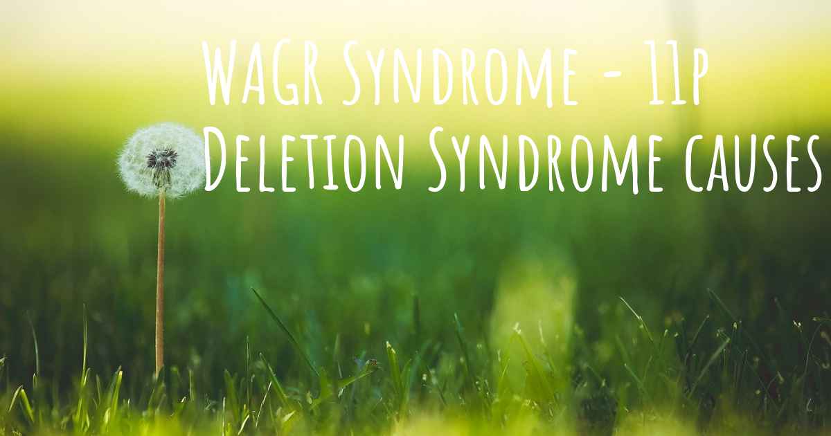 Which are the causes of WAGR Syndrome - 11p Deletion Syndrome?