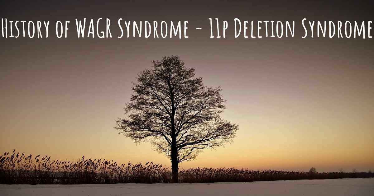 What is the history of WAGR Syndrome - 11p Deletion Syndrome?