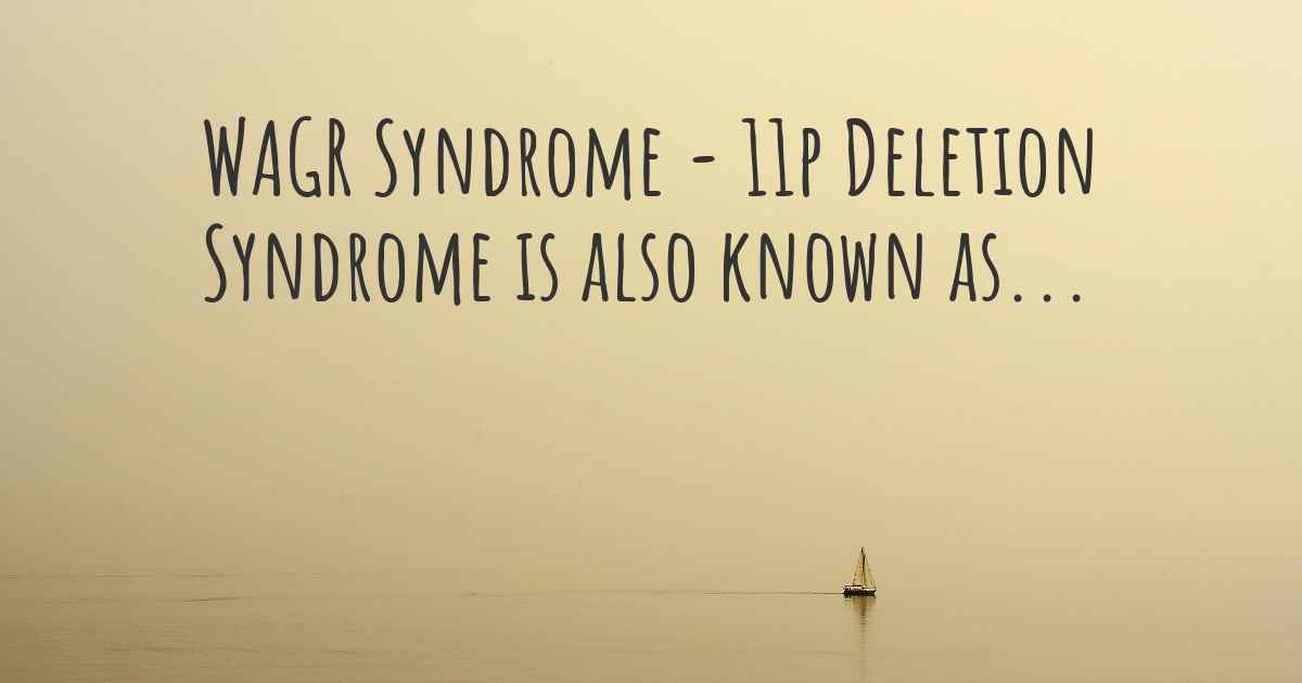 WAGR Syndrome - 11p Deletion Syndrome synonyms