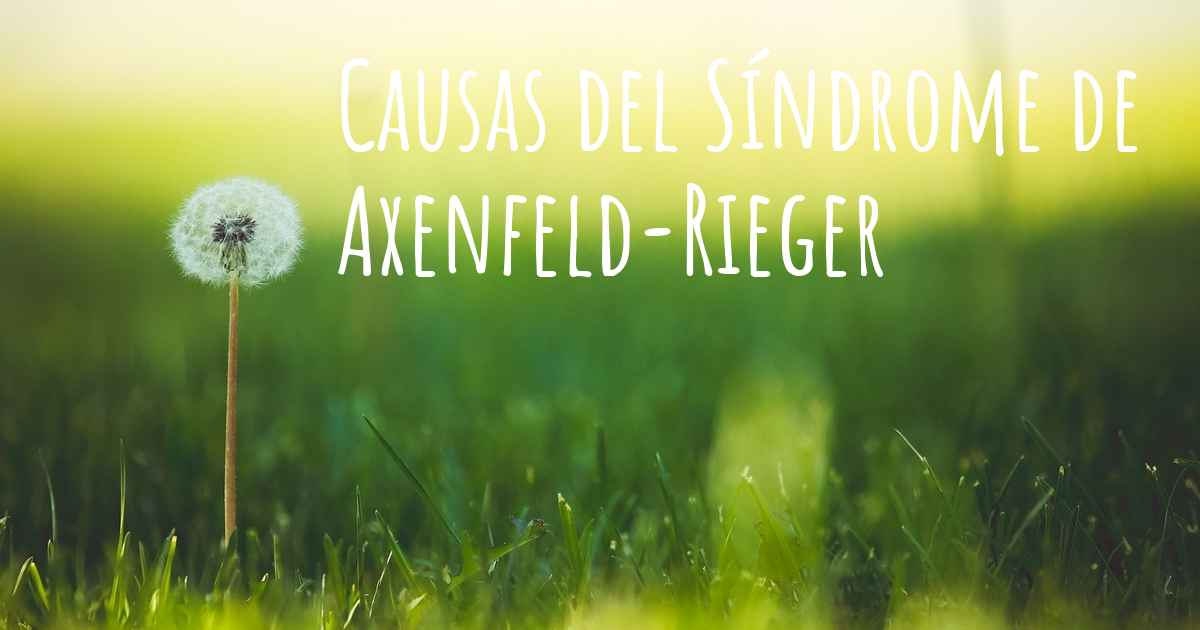 ¿Cuales son las causas del Síndrome de Axenfeld-Rieger?