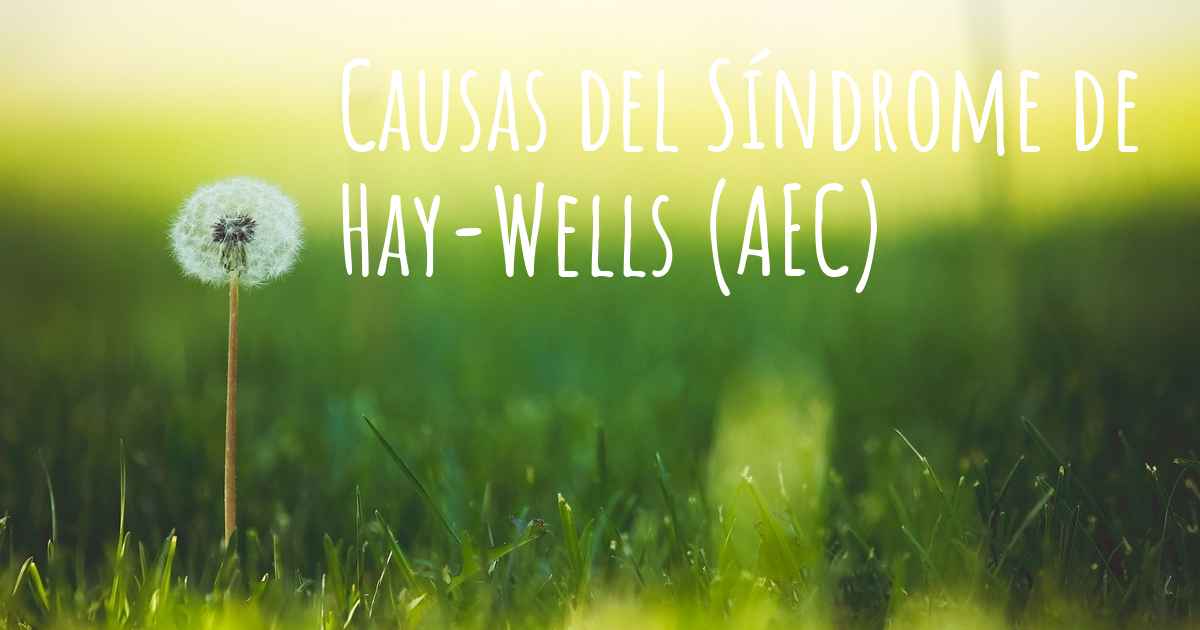 ¿Cuales son las causas del Síndrome de Hay-Wells (AEC)?