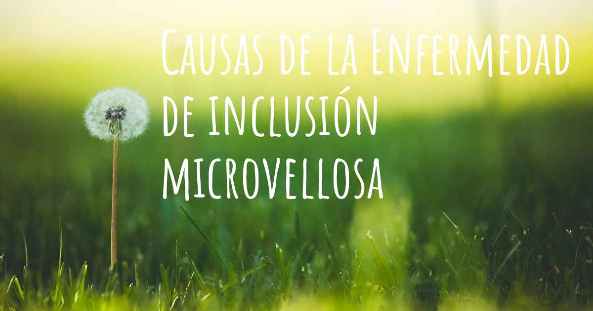 ¿Cuales son las causas de la Enfermedad de inclusión microvellosa?
