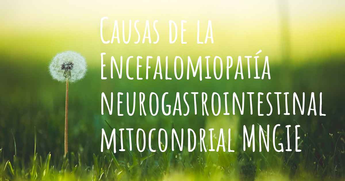 ¿Cuales son las causas de la Encefalomiopatía neurogastrointestinal ...