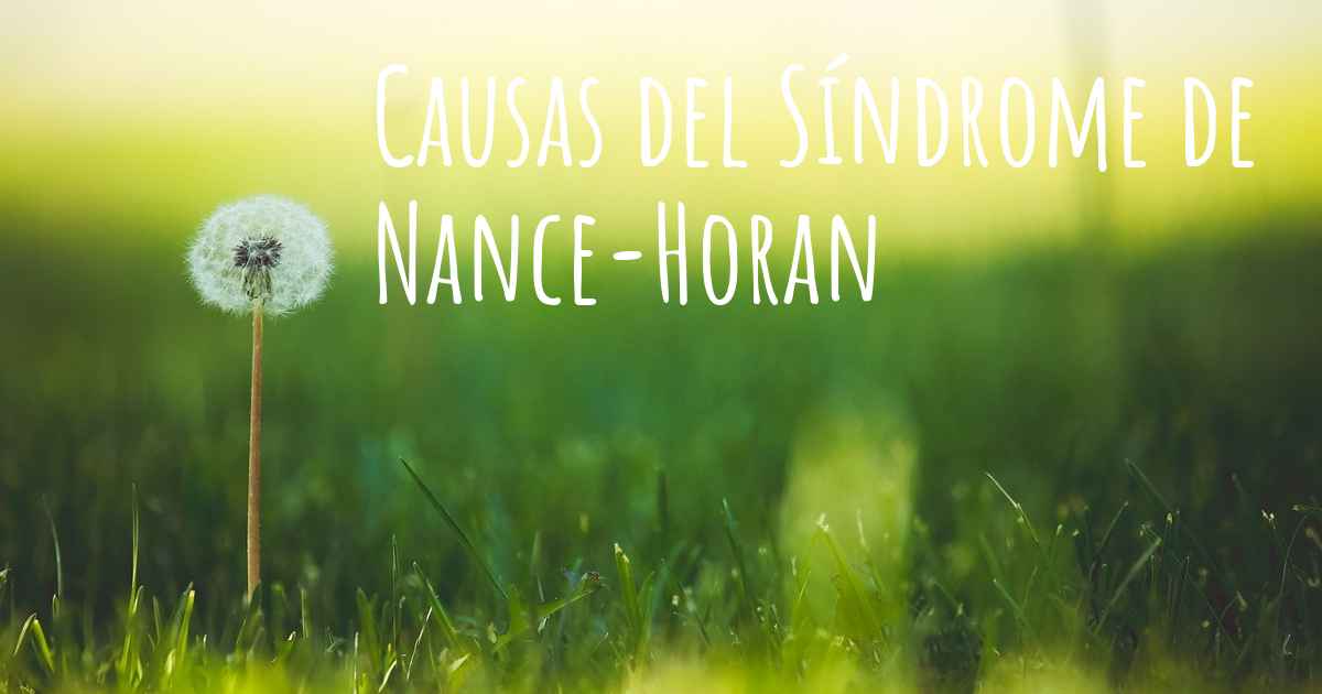 ¿Cuales son las causas del Síndrome de Nance-Horan?