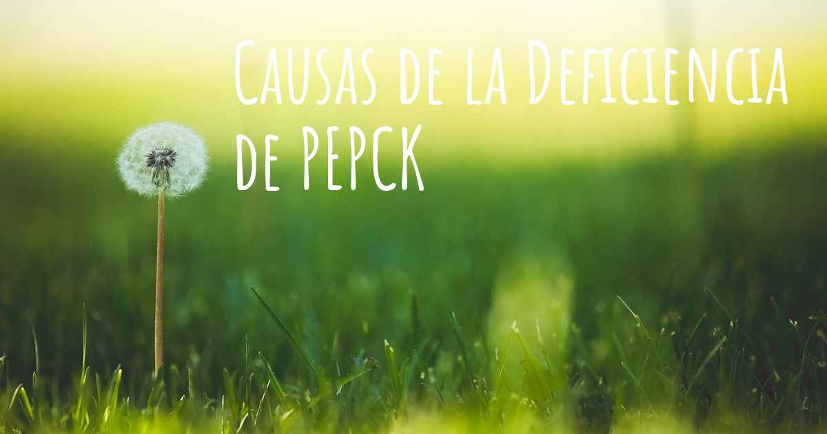 ¿Cuales son las causas de la Deficiencia de PEPCK?