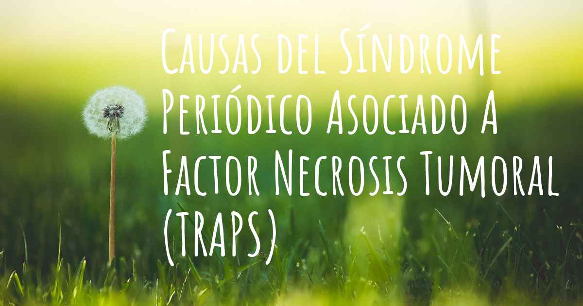 ¿Cuales son las causas del Síndrome Periódico Asociado A Factor ...