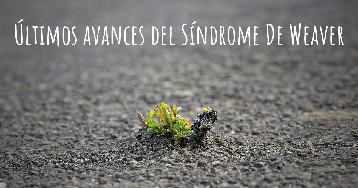 ¿Cuáles son los últimos avances del Síndrome De Weaver?