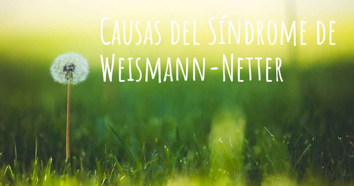 ¿Cuales son las causas del Síndrome de Weismann-Netter?