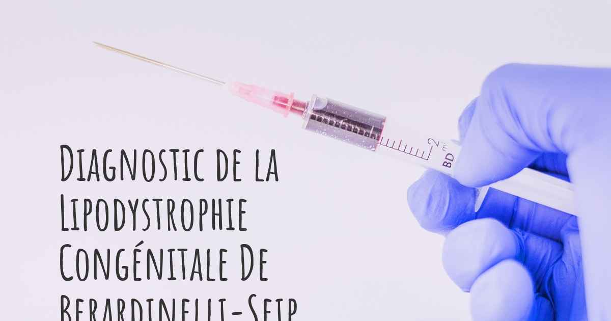 Comment la Lipodystrophie Congénitale De Berardinelli-Seip est-elle ...