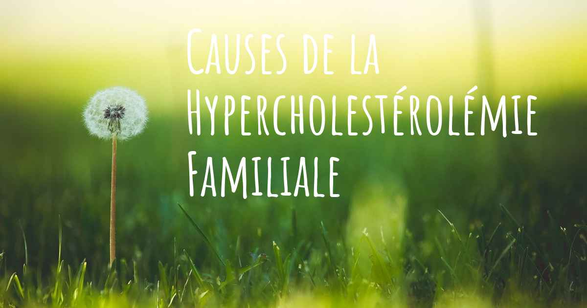 Quelles sont les causes de la Hypercholestérolémie Familiale?