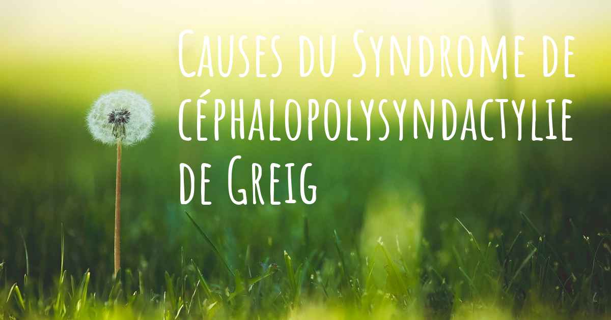 Quelles sont les causes du Syndrome de céphalopolysyndactylie de Greig?