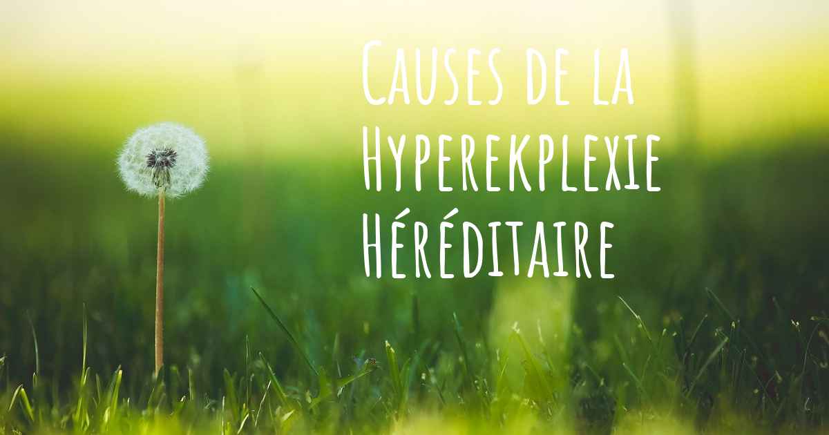 Quelles sont les causes de la Hyperekplexie Héréditaire?