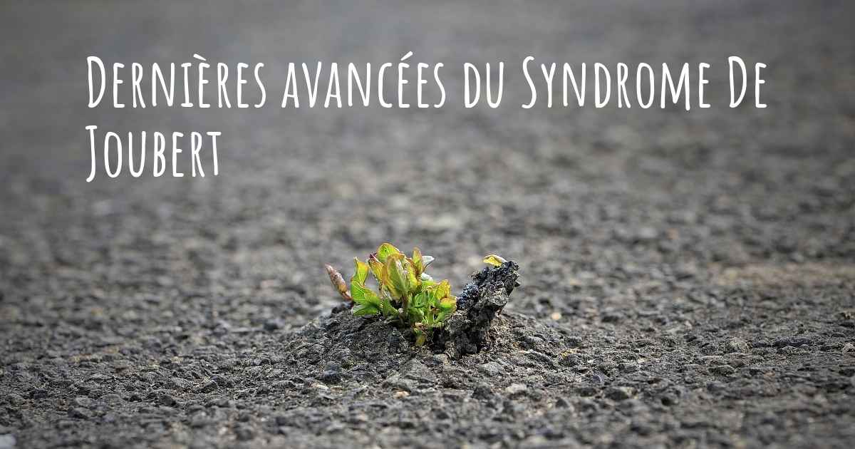 Quels sont les derniers développements du Syndrome De Joubert?