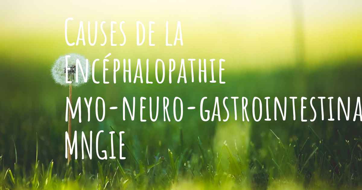 Quelles sont les causes de la Encéphalopathie myo-neuro ...