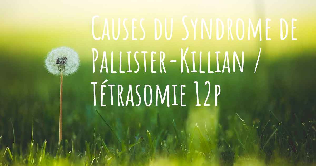 Quelles sont les causes du Syndrome de Pallister-Killian / Tétrasomie 12p?