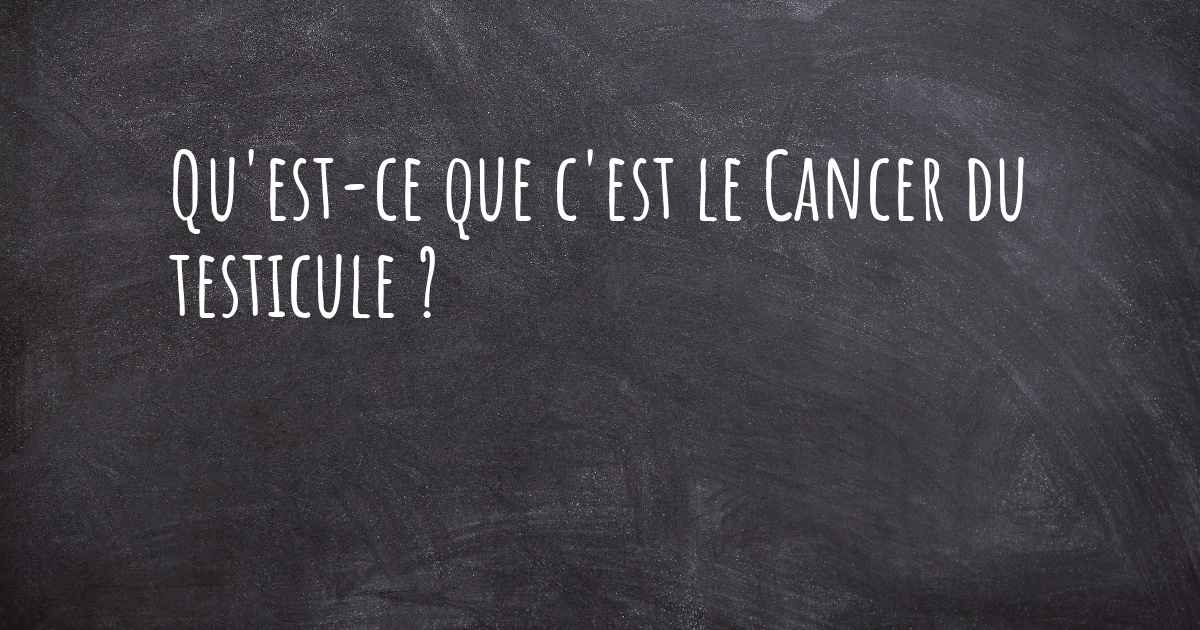 Qu'est-ce que c'est le Cancer du testicule