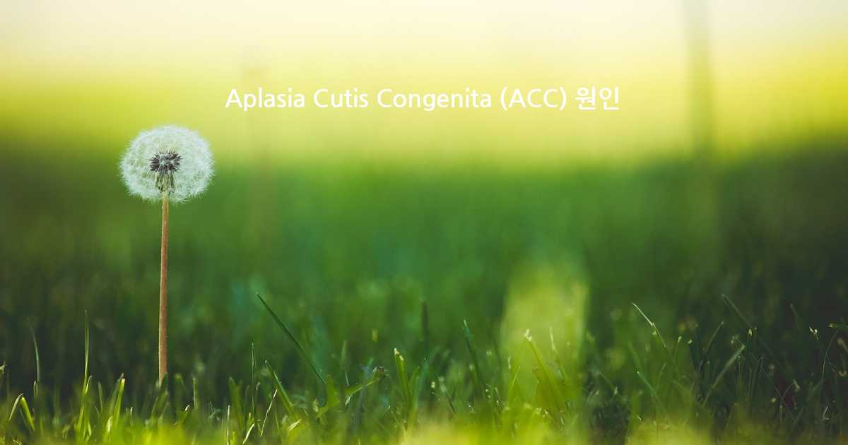 Aplasia Cutis Congenita (ACC)의 원인은 어느입니까?
