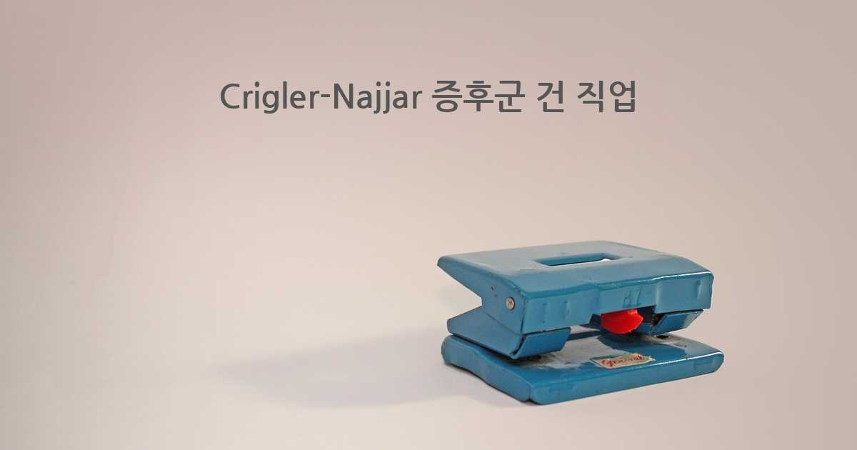 Crigler-Najjar 증후군 일을 가진 사람 수 있습니까? 어떤 종류의 작업을 수행 할 수 있습니까?