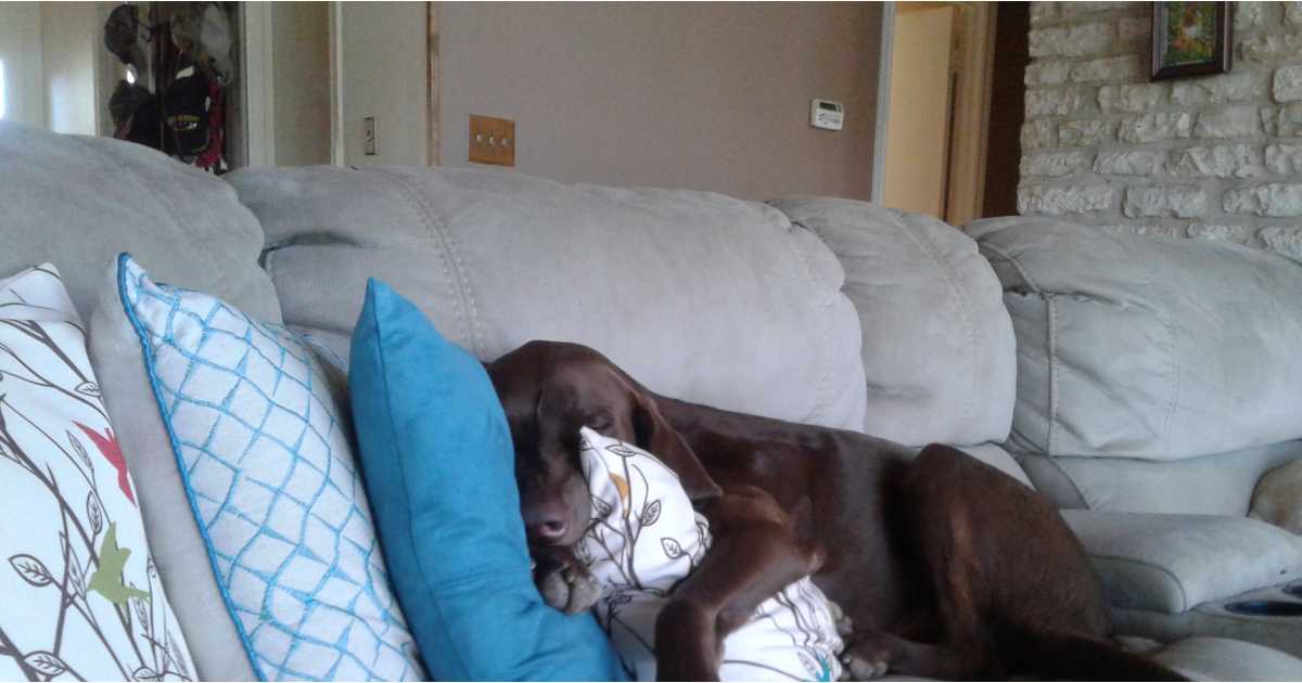 A Felty Syndrome interview